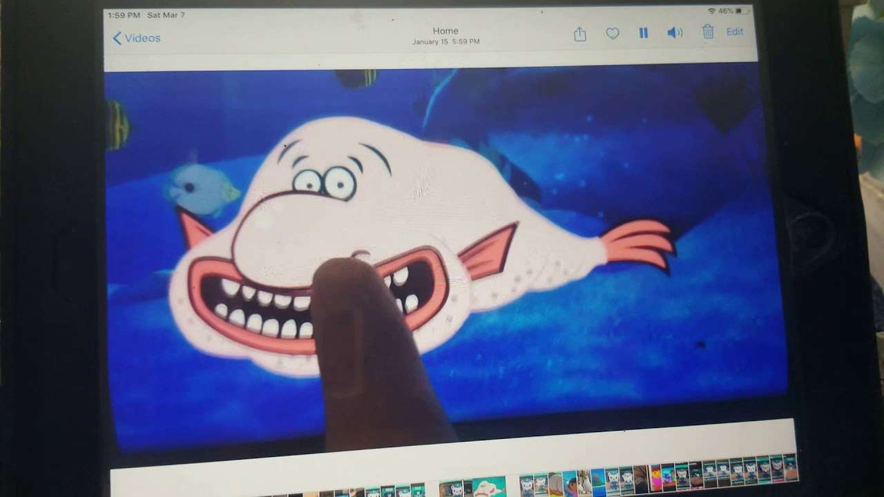 Creature report blobfish - YouTube