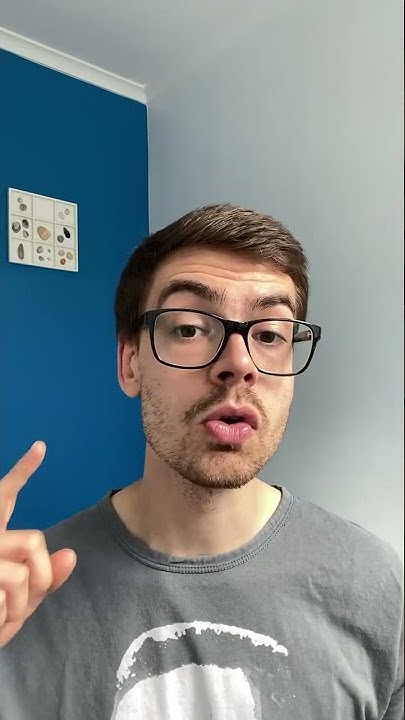 THE ALGORITHM - DATA RENAISSANCE (SON DU JOUR 17) #shorts #sondujour # ...