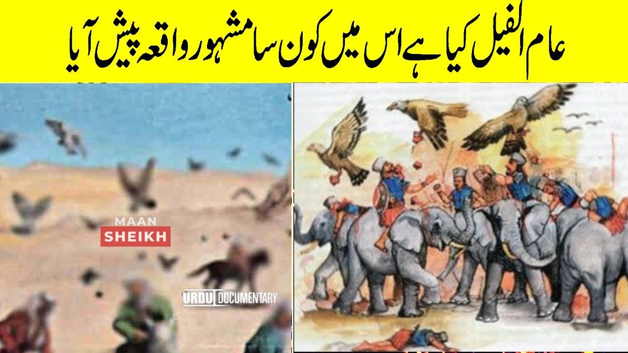 Aamul Feel Kya hai | Aamul Feel Ka Waqiya | Urdu Documentary With ...