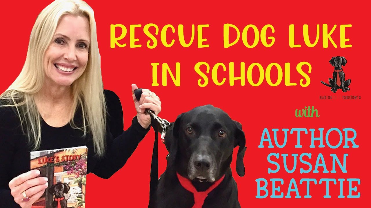 LUKE’S APPEARANCES IN SUSAN BEATTIE’S SCHOOL PRESENTATIONS - YouTube