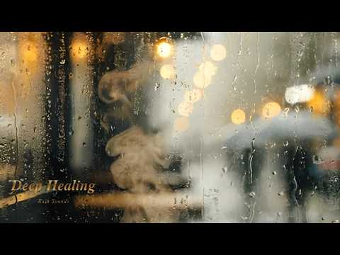 Deep Healing Rain Sounds for Sleeping & Study | 1 Hour Relaxing Mood