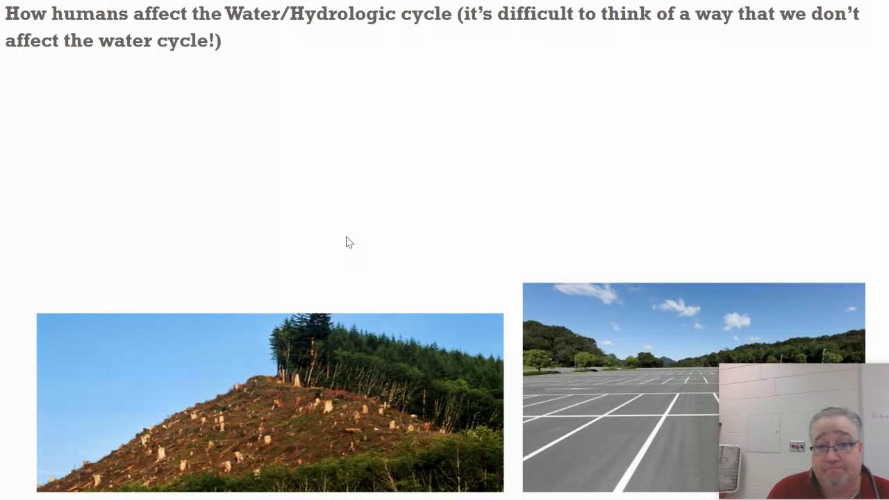 Pre AP Biology "Carbon and Water Cycles" - YouTube