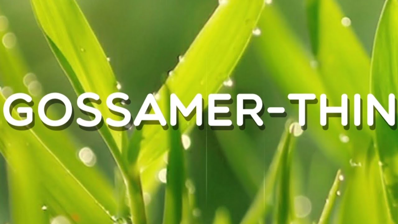 Gossamer - Thin, Level 756, Word Crush Answers, FullHD 60 fps. - YouTube