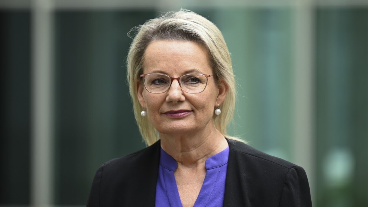 Sussan Ley on proposed new MP code of conduct legislation - YouTube