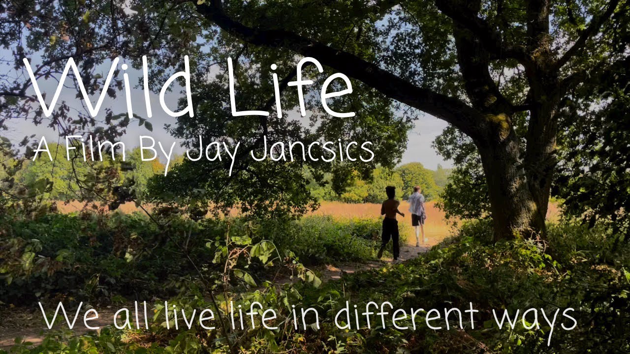 Wild Life -An Original Short Film - YouTube