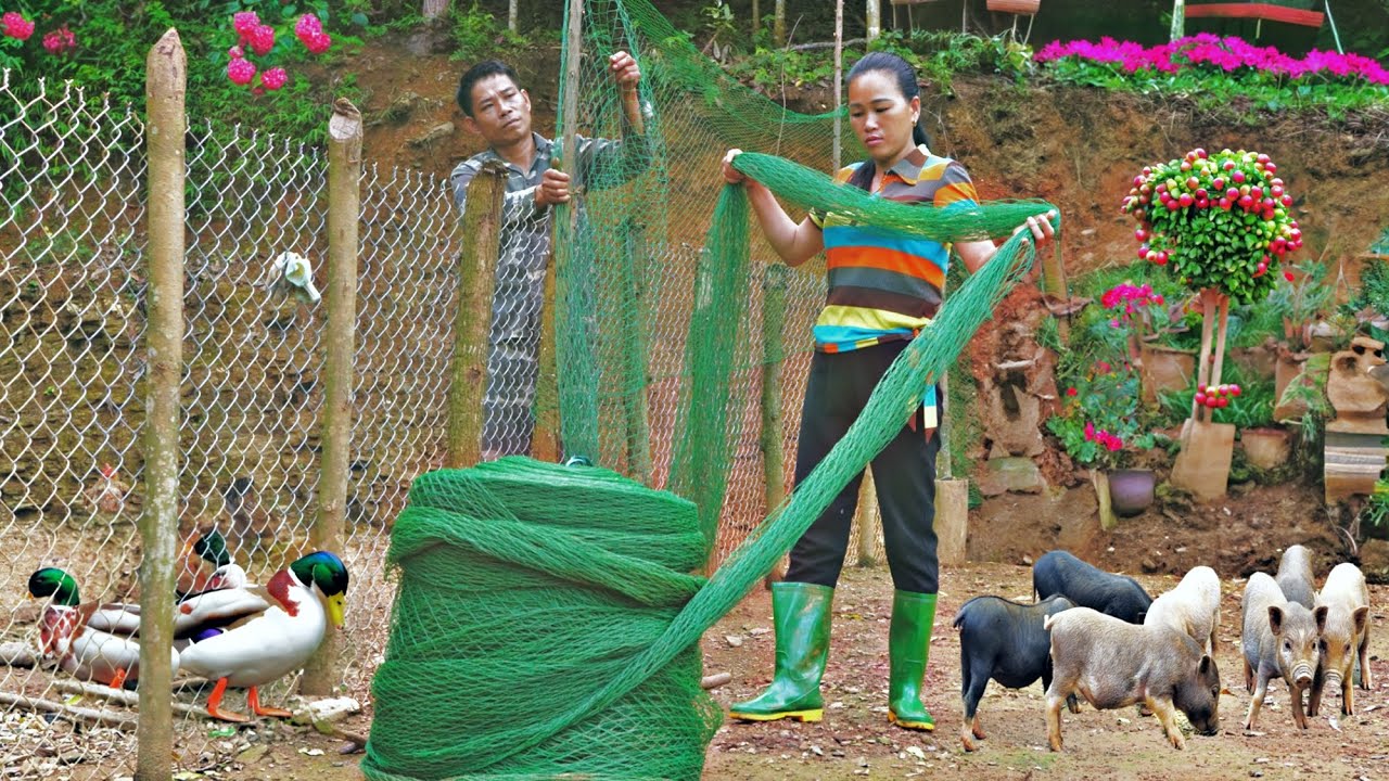 Repair fences, protect crops from livestock damage, farm life, Day 179 ...