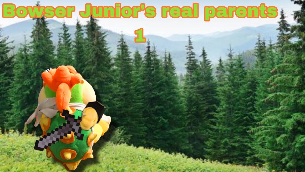Mario plush Bros - bowser Junior’s real parents 1 - YouTube