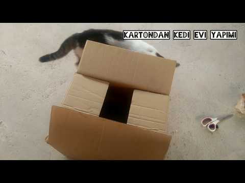 Kartondan Basit Kedi Evi Yapımı