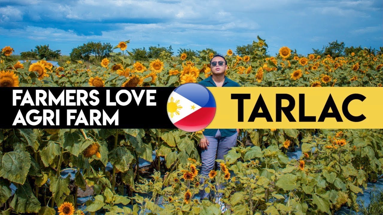 Kim S Garden Tarlac City | Fasci Garden