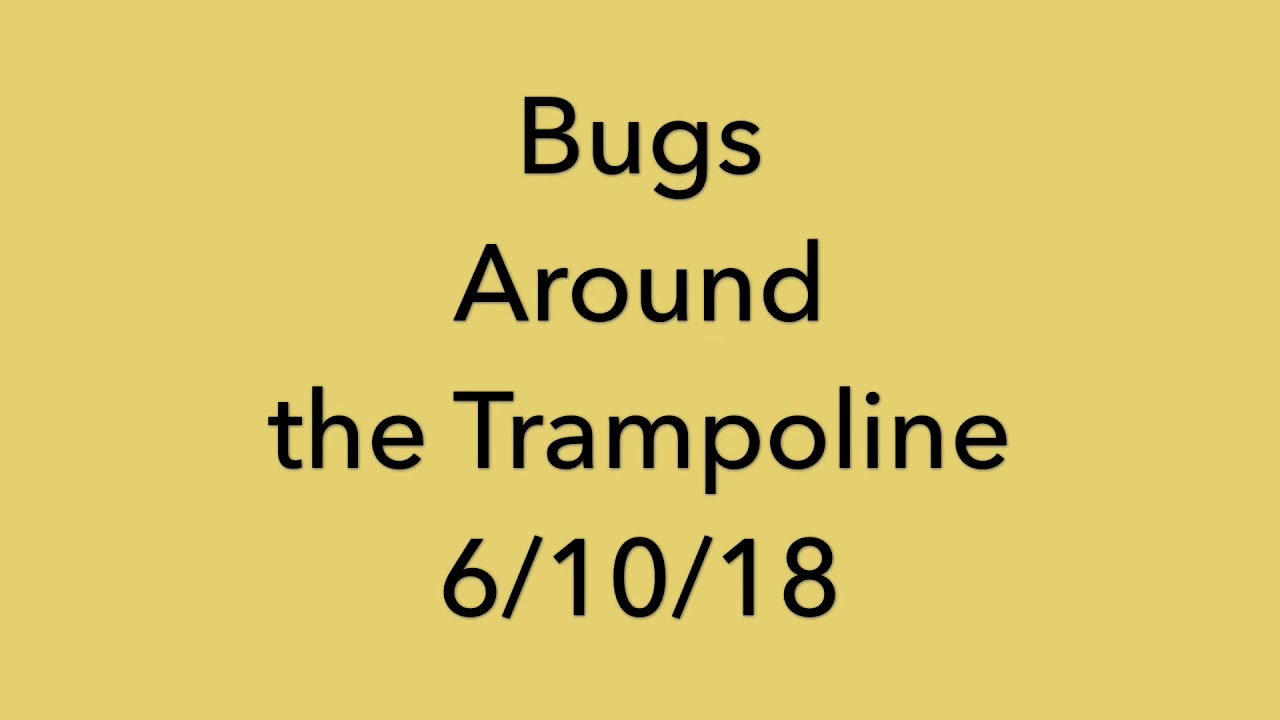 Bugs Series Episode 1 - YouTube
