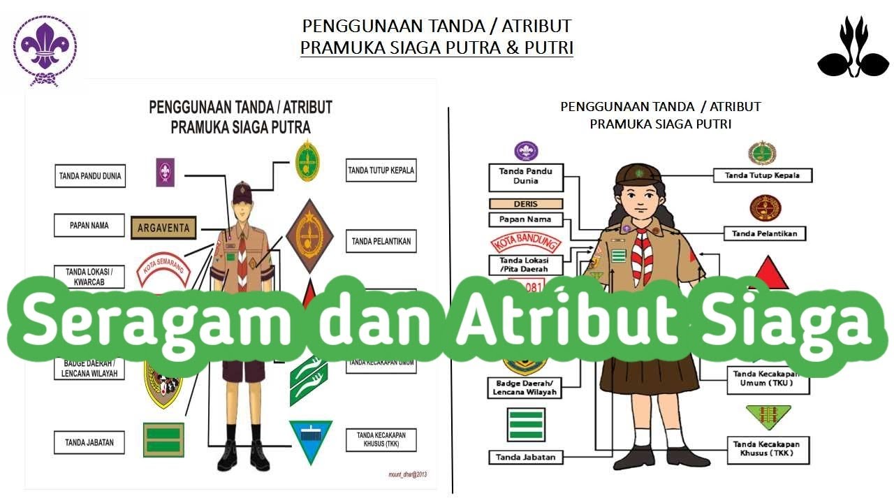 SERAGAM dan TANDA PENGENAL/ATRIBUT PRAMUKA SIAGA - YouTube