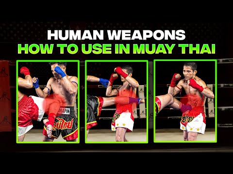 Human Weapon in Muay Thai