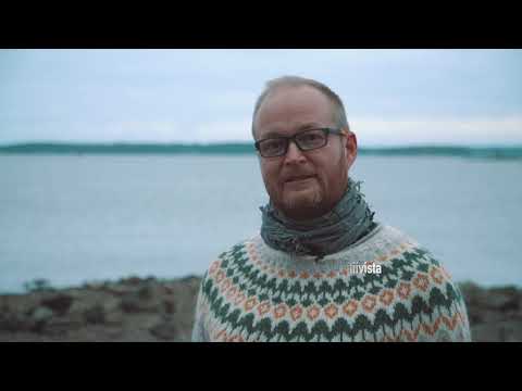 KIPSI-hankkeen vuosi 2020