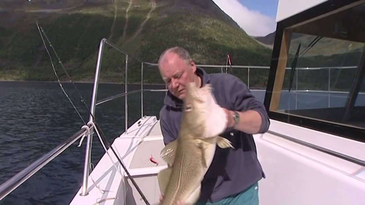 Another Impressive Cod Catch In Norway - YouTube