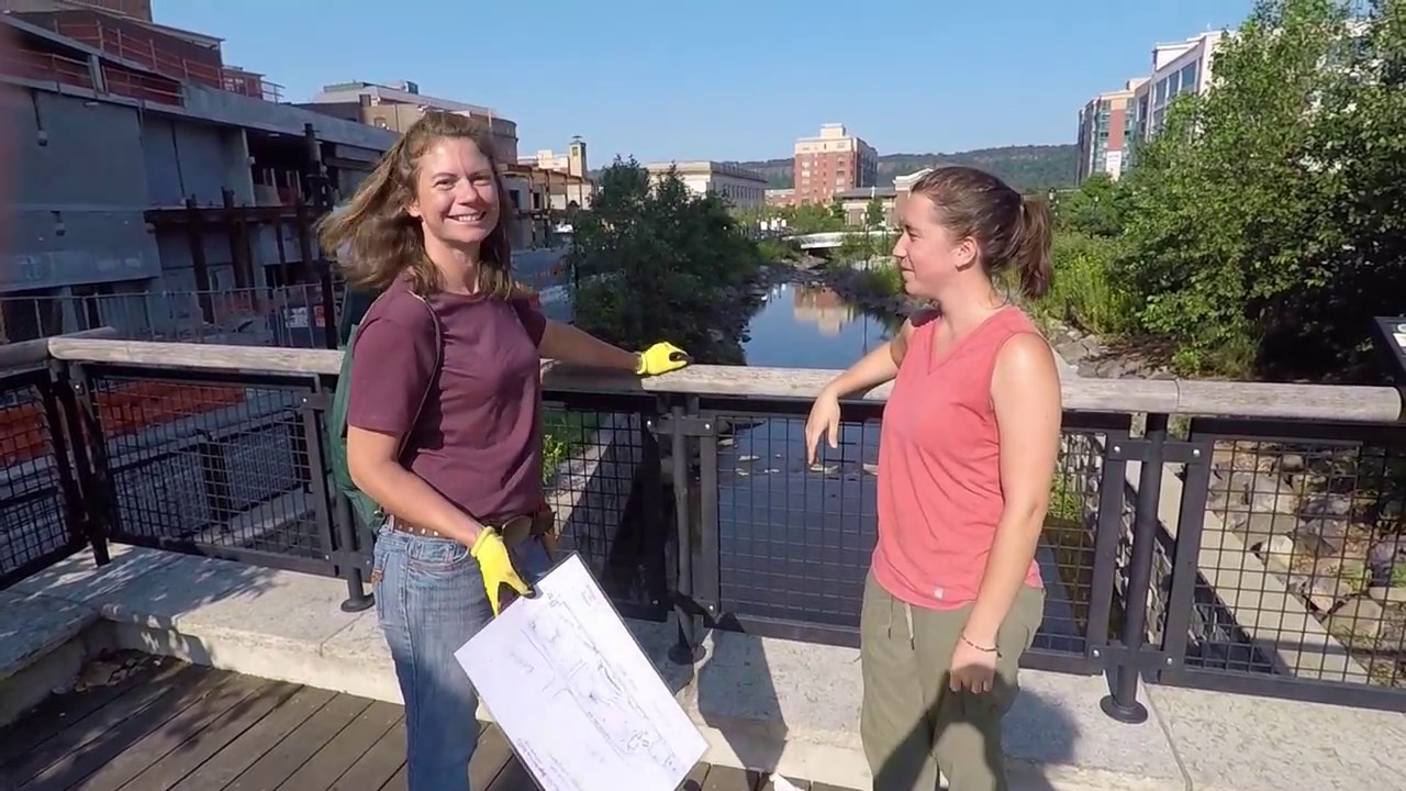 Van Der Donck Park Improves! | Shades of Green - YouTube
