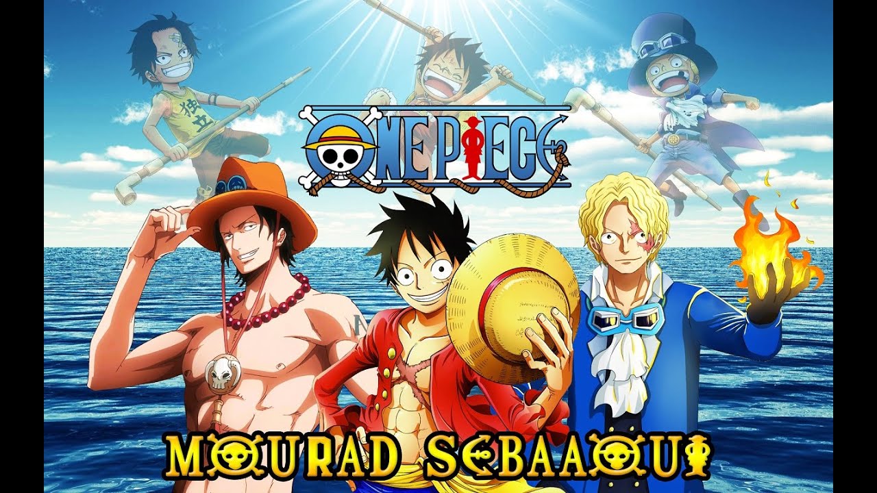 One Piece Laptop Notebook PC Case Cover Bag Sleeve Pouch - YouTube