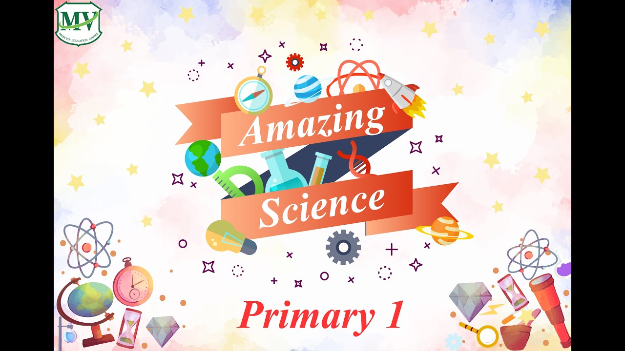 Light Science Primary 1 - YouTube
