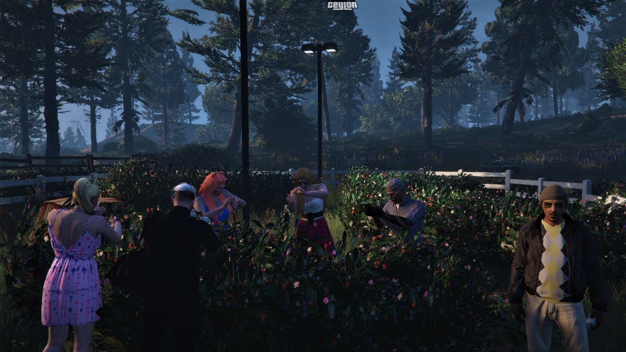 🔴Alexandra මල් ඔතනවා?🌸🌝 | ALEXANDRA JADE | GTA V CEYLON RP - YouTube