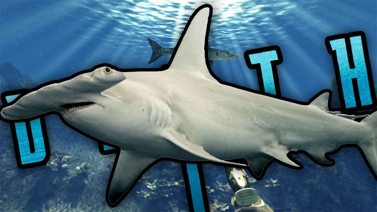 EXPLODING SHARKS - Depth w/ TheKingNappy + Friends! #9 - YouTube