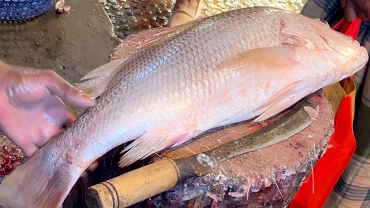 Amazing Big Snapper Fish Cutting By Expert Fish Cutter | Fish Cutting ...