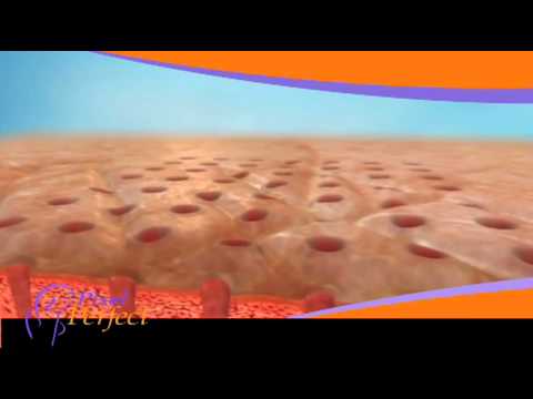 Pixel Perfect waiting room DVD.mov - YouTube