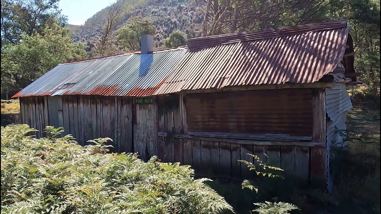 Pine Hut - YouTube