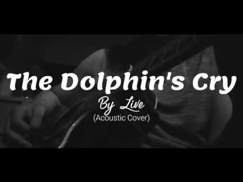 The Dolphin's Cry By Live (Acoustic Cover) - YouTube