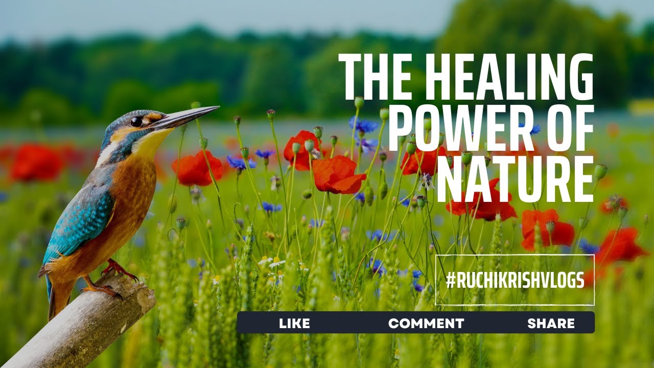 The Healing Power Of Nature / Nature Bathing / Mind Body Soul Therapy ...