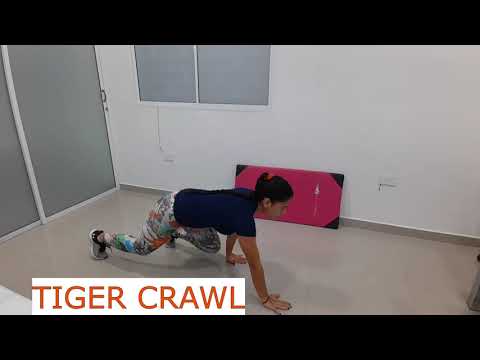 TIGER CRAWL 🐅 - YouTube