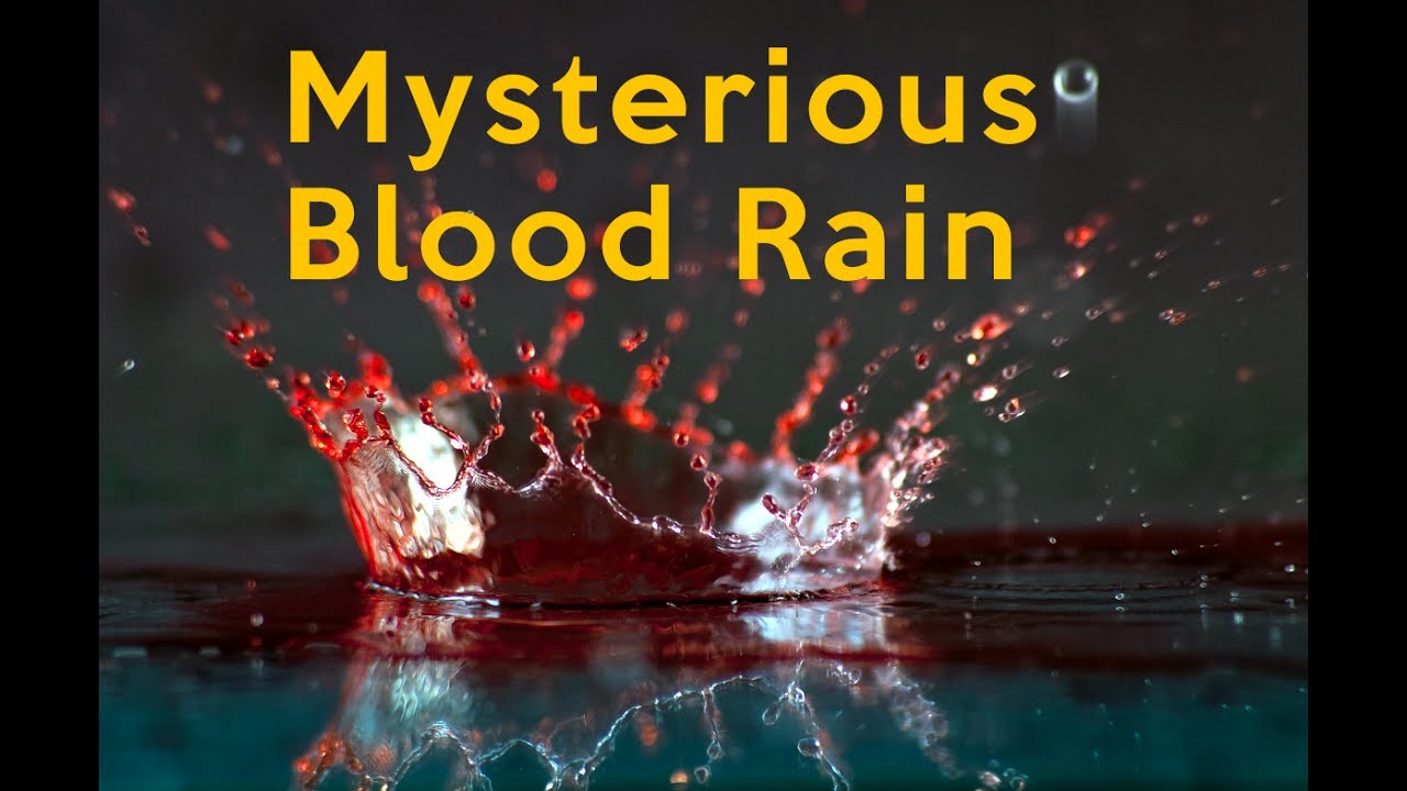 Blood Rain In Kerala - Real Life Incident - YouTube