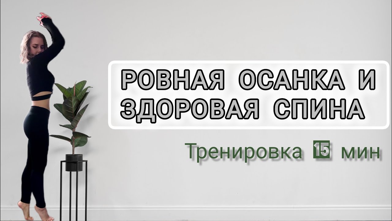 Здоровая спина Тренировка на спину 15 минут для мышц спины Youtube