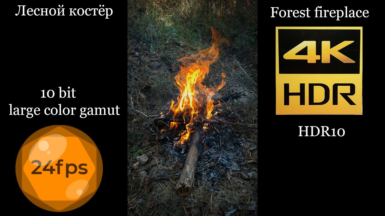 Forest Fire HDR10+ #mcpro24fps - YouTube