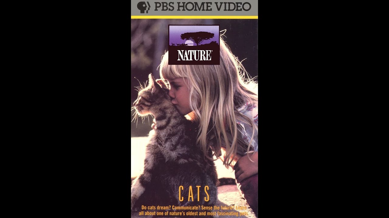 Opening To Nature:Cats 1992 VHS - YouTube