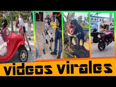 VIDEOS VIRALES 2026 UN POCO DE TODO 🚨🚨🚨🚨🚨