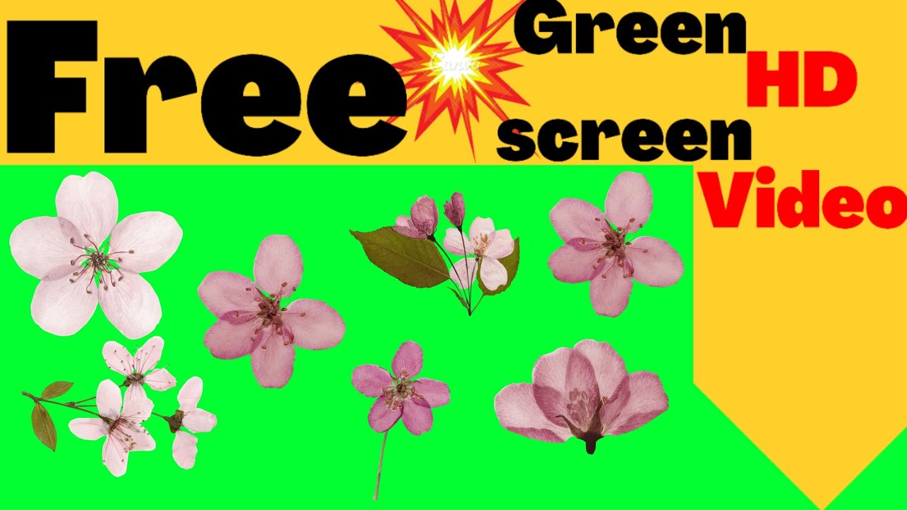 Spring Blooming Green screen video animation - YouTube
