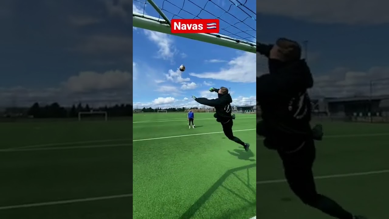 TYPES OF GOALKEEPERS shorts YouTube types-of-goalkeepers-shorts-youtube
