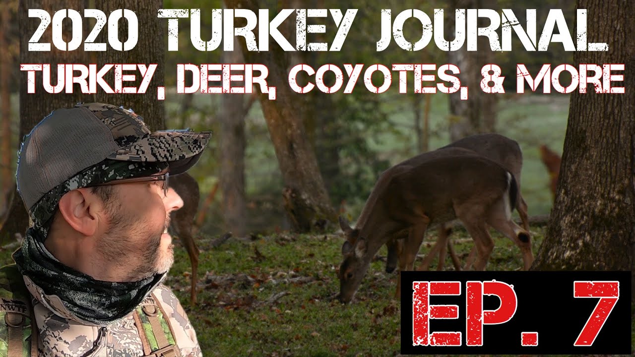 2020 Turkey Journal: Ep 7 - Turkey, deer, coyotes, etc. (never know ...