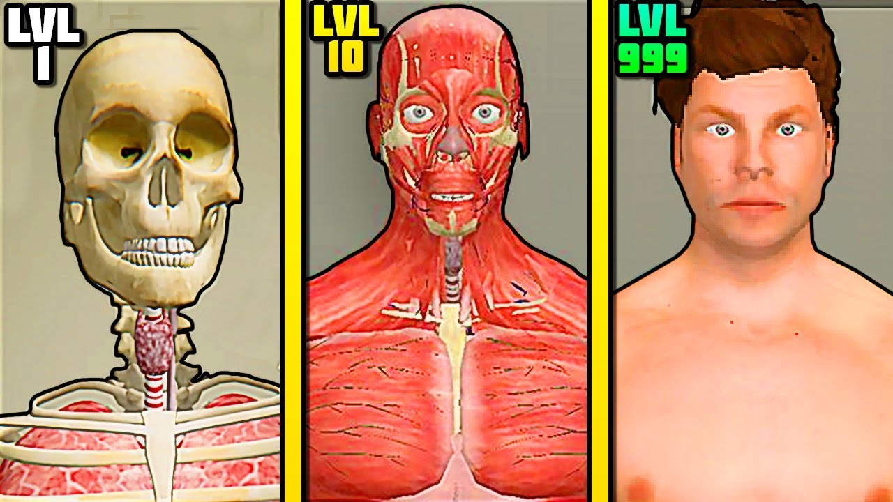 ЭВОЛЮЦИЯ ЧЕЛОВЕКА ЧТОБЫ ПО КУСОЧКАМ СОБРАТЬ ЧЕЛОВЕКА ИЗ ОРГАНОВ И ...