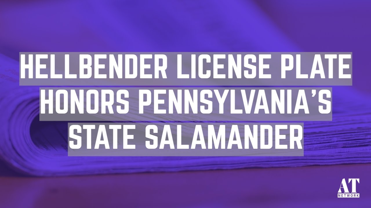 Hellbender License Plate Honors Pennsylvania’s State Salamander - YouTube