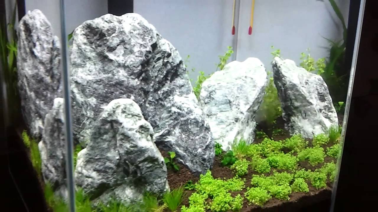 Nano akwarium 30x30x35 30l - 2 - YouTube