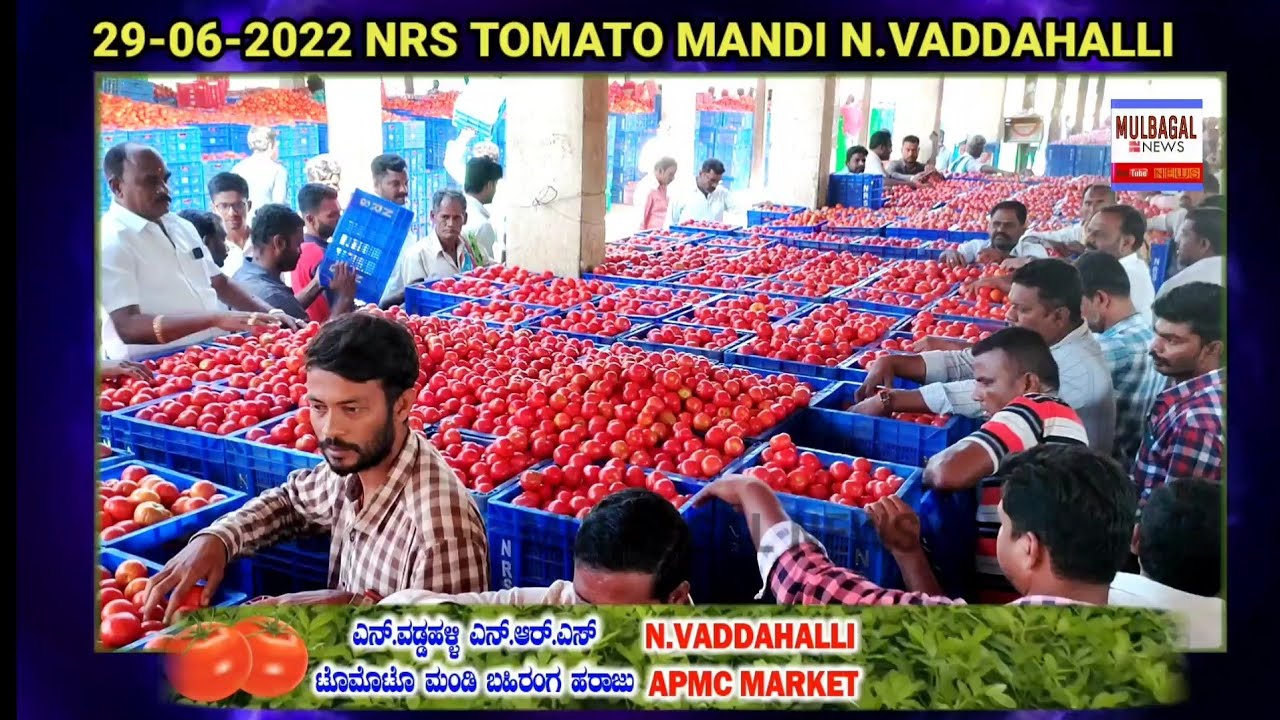 29-06-2022 #VADDAHALLI TOMATO MANDI AUCTION TODAY AT NRS TOMATO MANDI ...