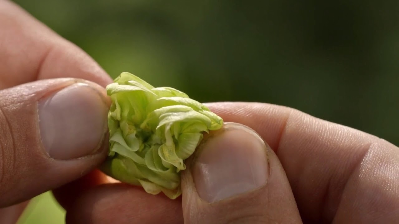 Bitburger Werbung Juli 2019 - YouTube