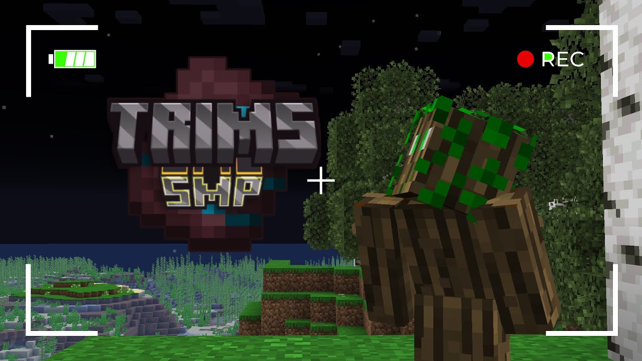 עכשיו אפשר להכנס (trim smp s2) - YouTube