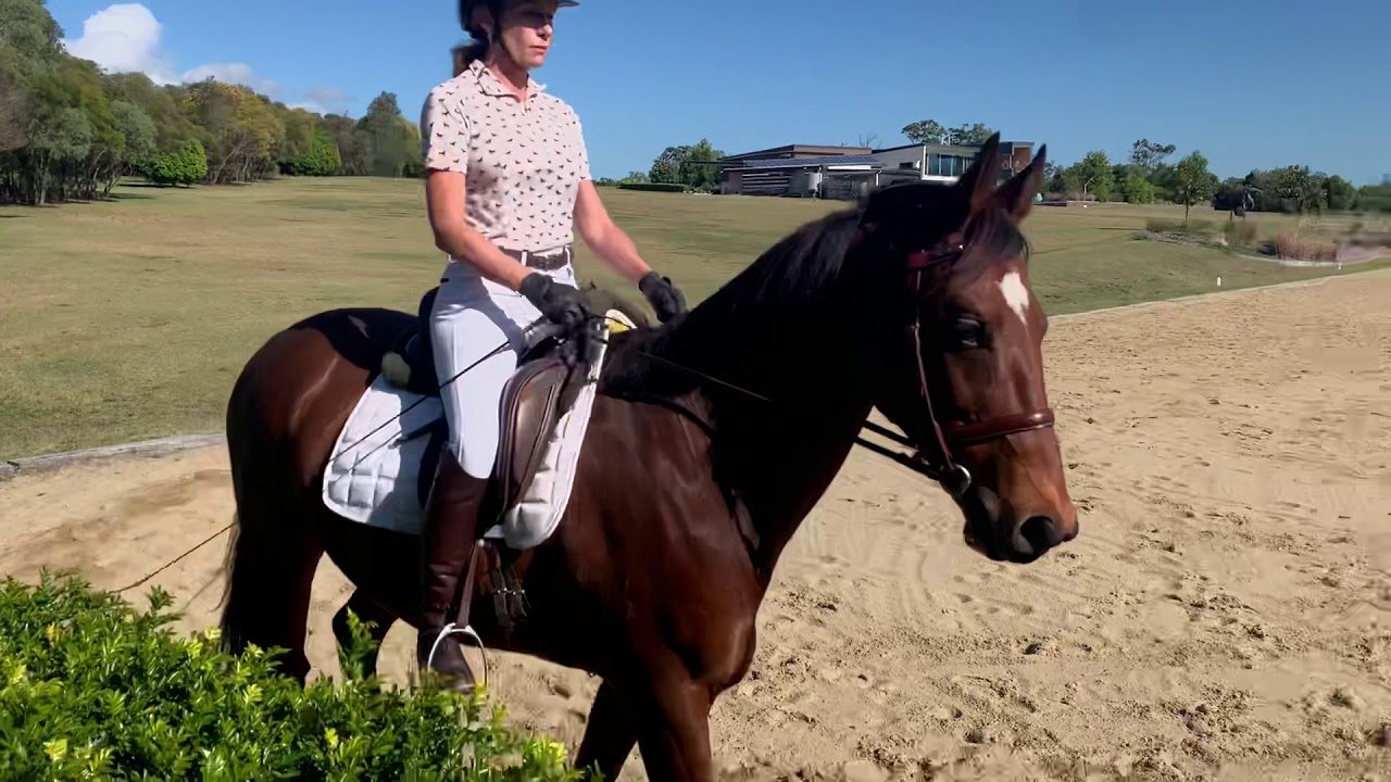 Jenny Watt Riding Glencoe Wordsmith 1B - YouTube