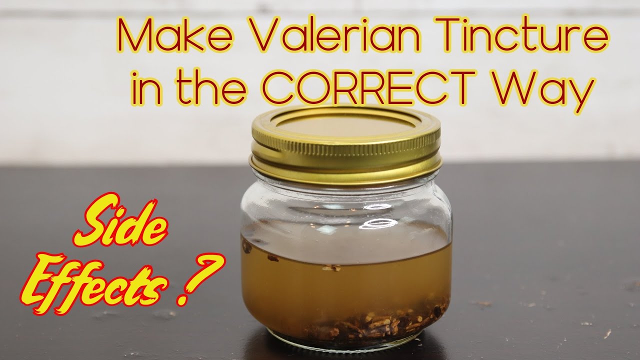 Valerian Root Benefits, Natural Sleep Aid, Valerian Root for Anxiety ...