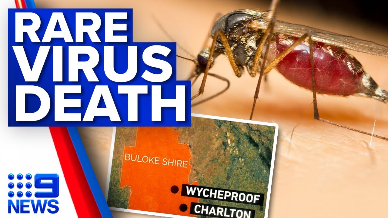 State records first death from virus in 49 years | 9 News Australia ...