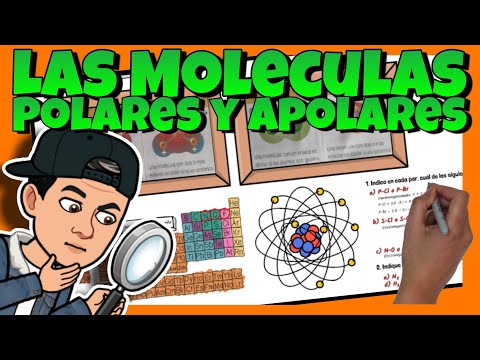 🔎 Cómo IDENTIFICAR y DIFERENCIAR moléculas POLARES y APOLARES