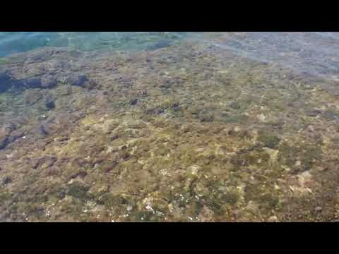 Mare di Quarara Mazara del vallo(Tp)