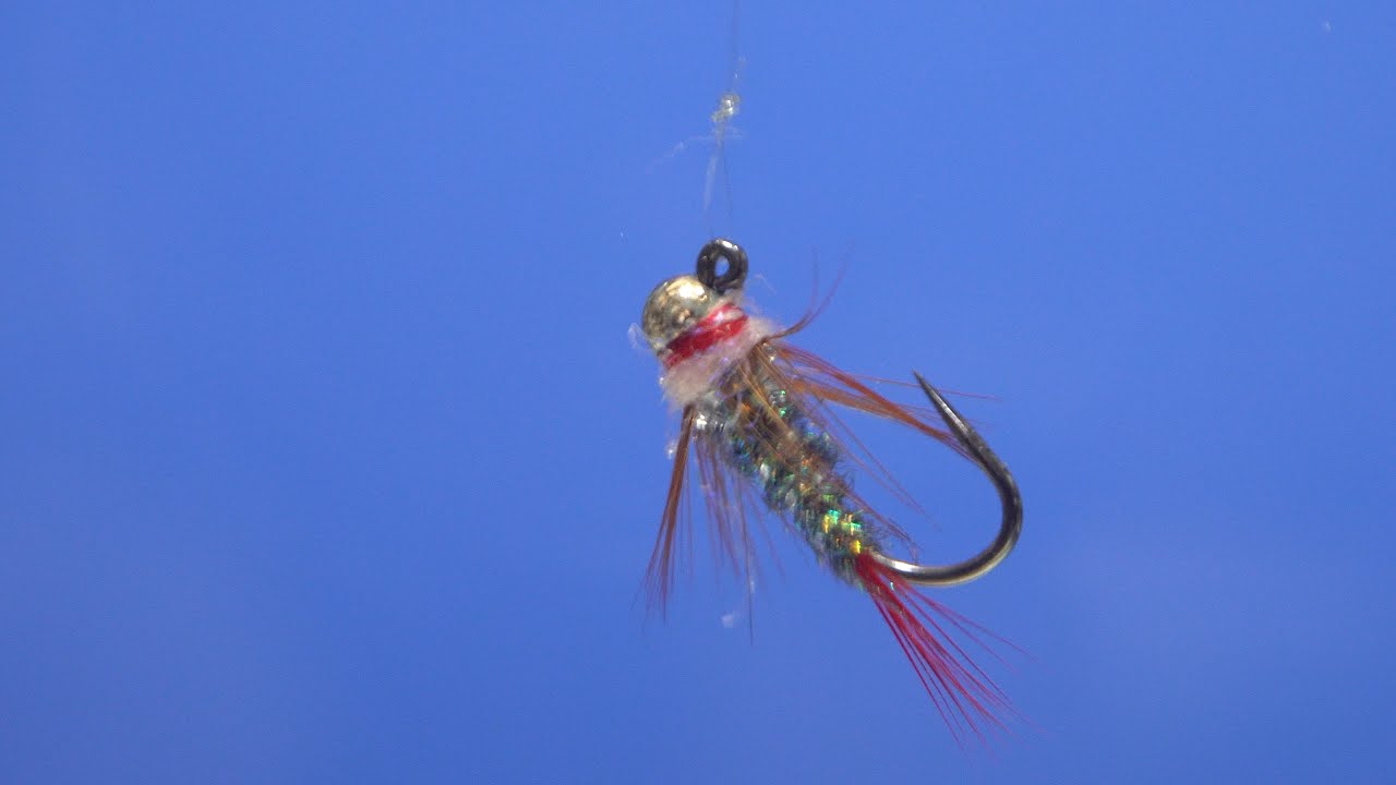 Underwater Fly Orientation - YouTube