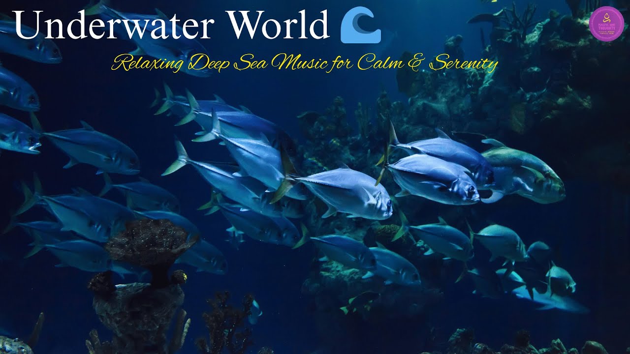 Underwater World 🌊 | Relaxing Deep Sea Music for Calm & Serenity - YouTube